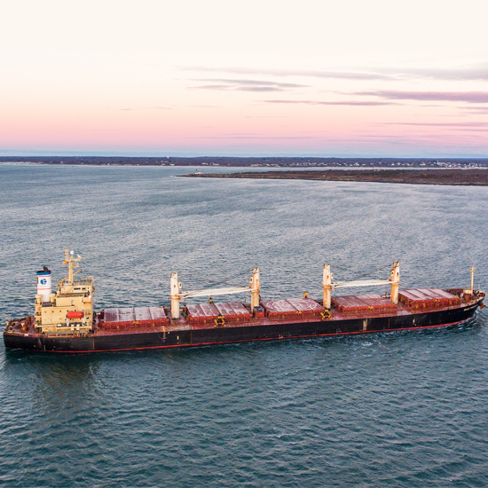 FLEET - Pangaea Logistics Solutions Ltd