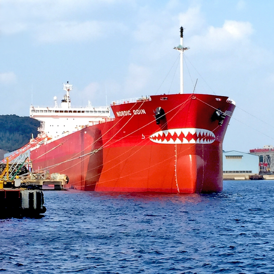 FLEET - Pangaea Logistics Solutions Ltd.