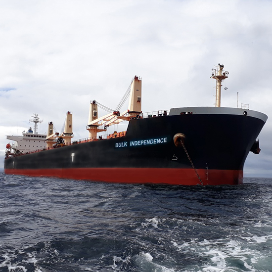 FLEET - Pangaea Logistics Solutions Ltd.